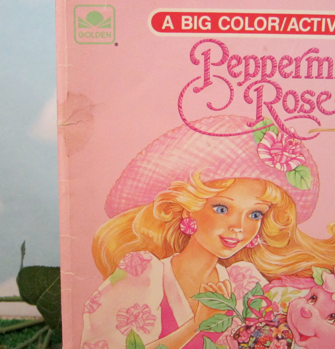 rose petal place coloring book