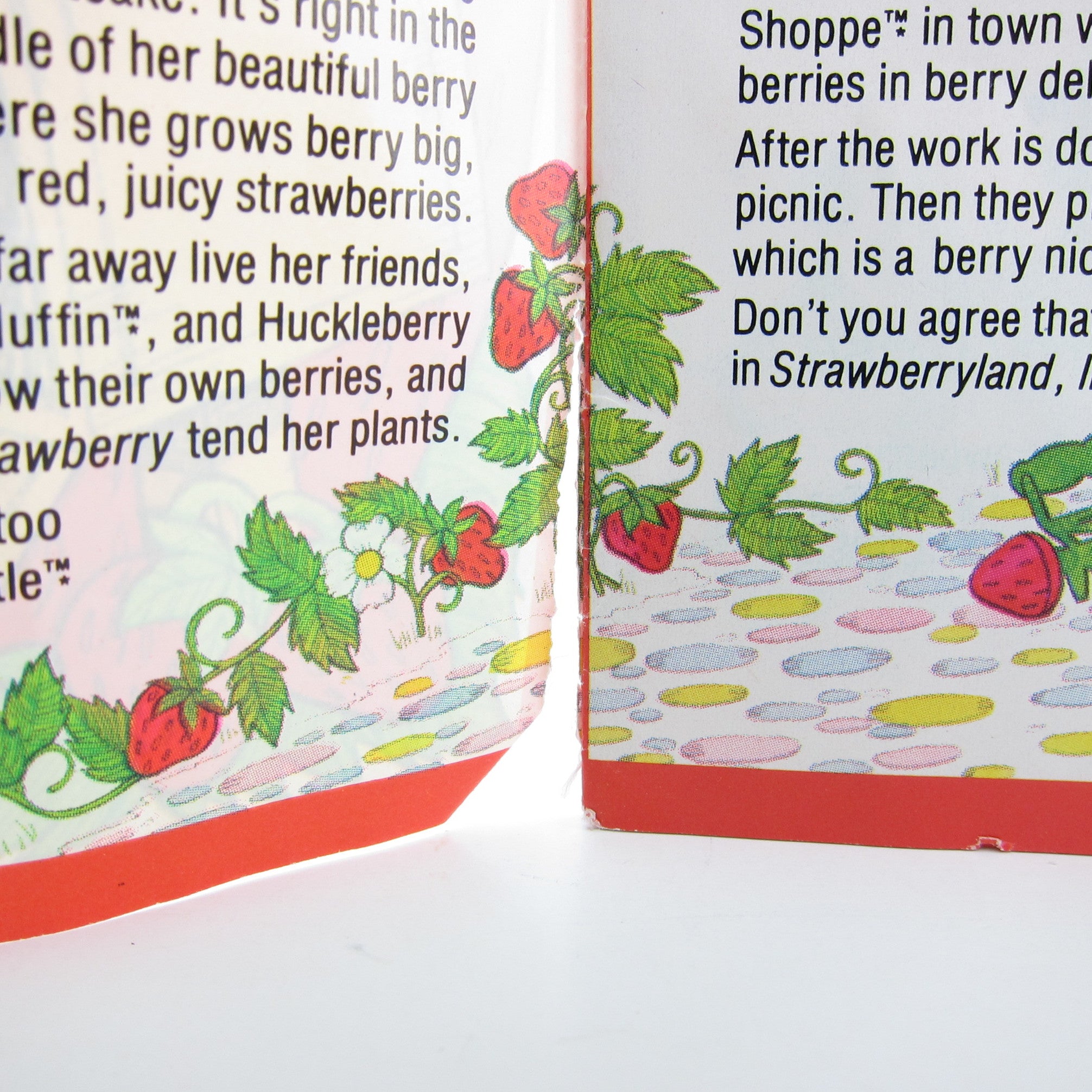 Strawberry Shortcake 1980 Booklet Vintage Kenner Toy Advertising Broch ...