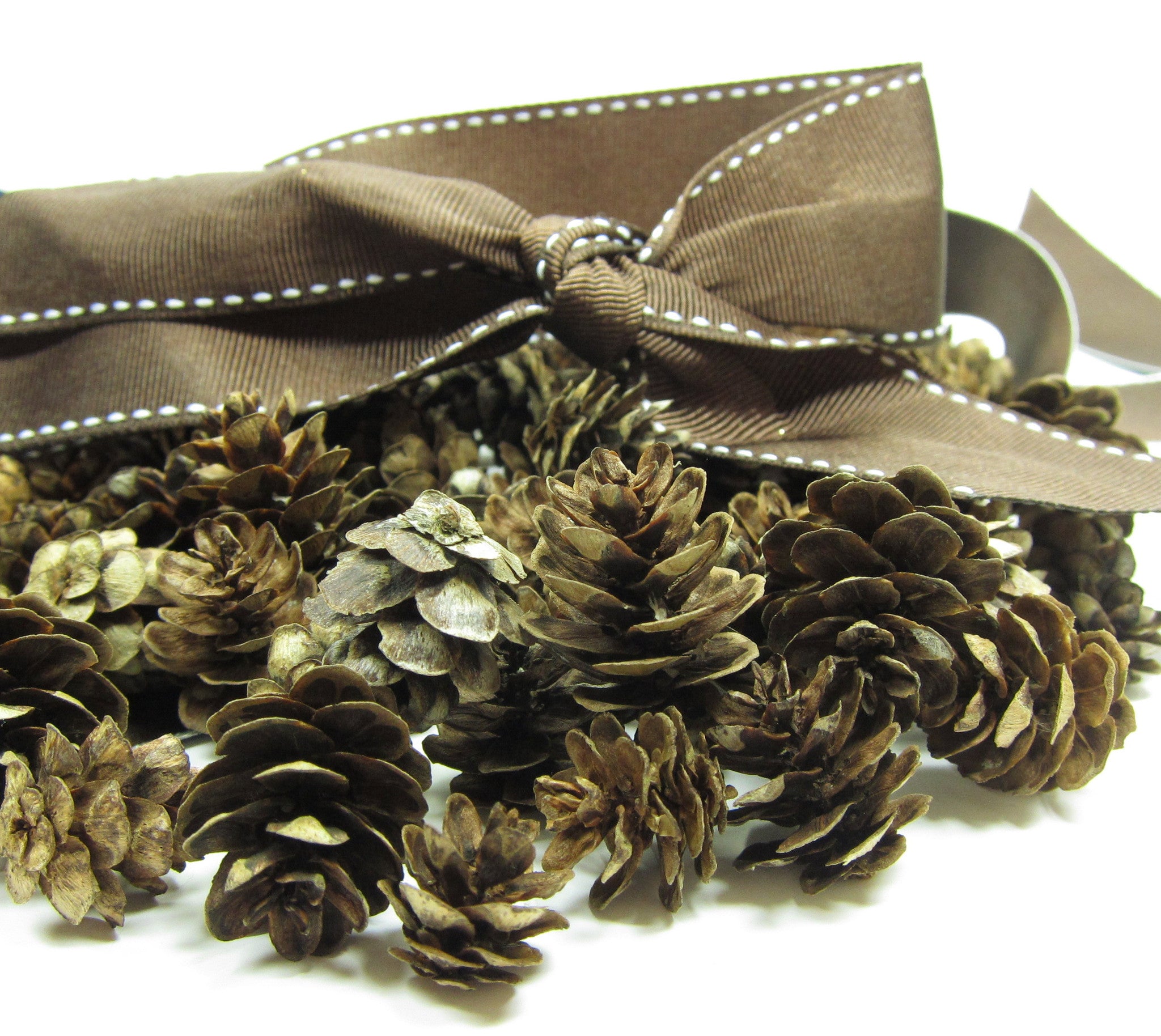 real mini pine cones